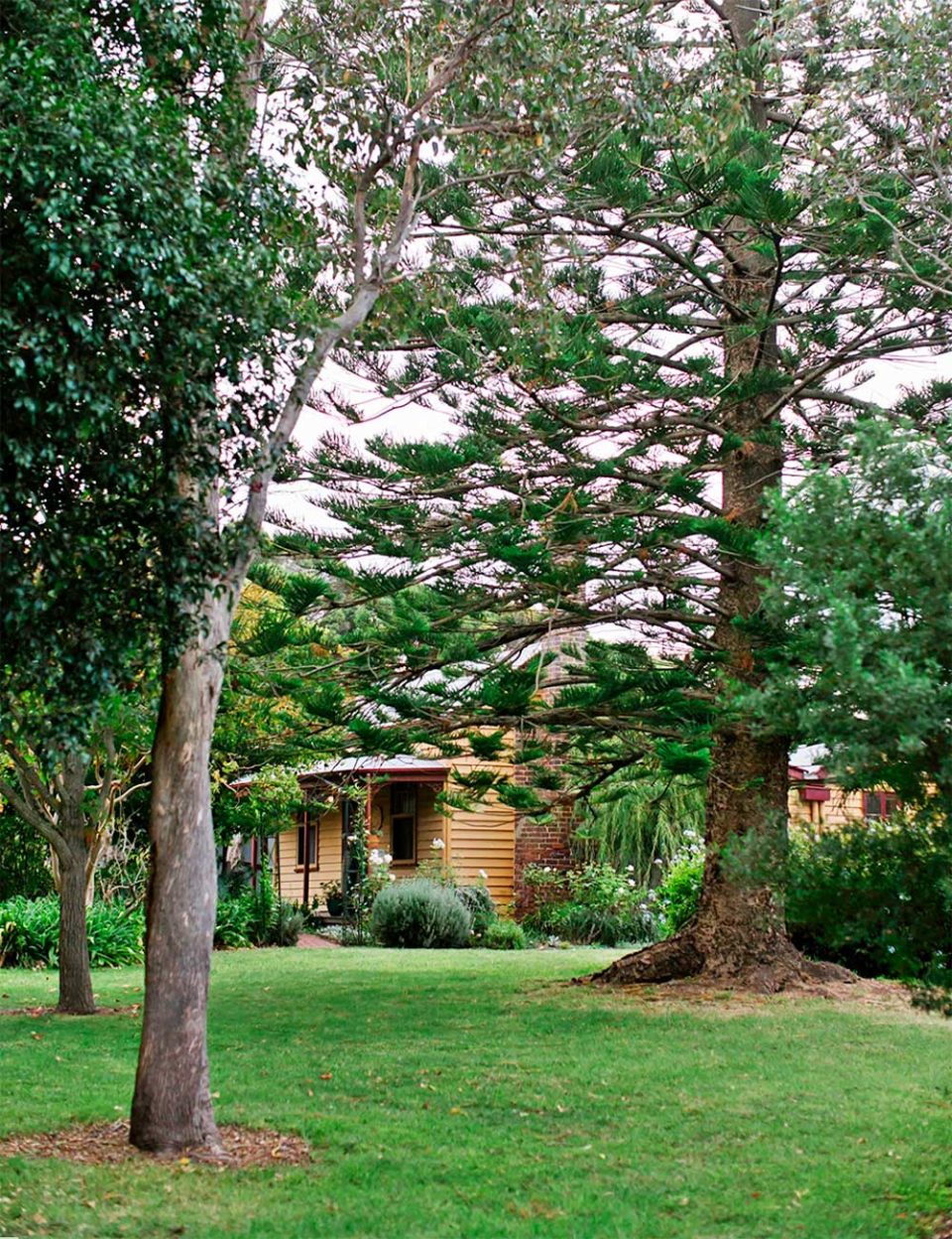 Suma Park Estate | Point Lonsdale Victoria on the Bellarine Peninsula